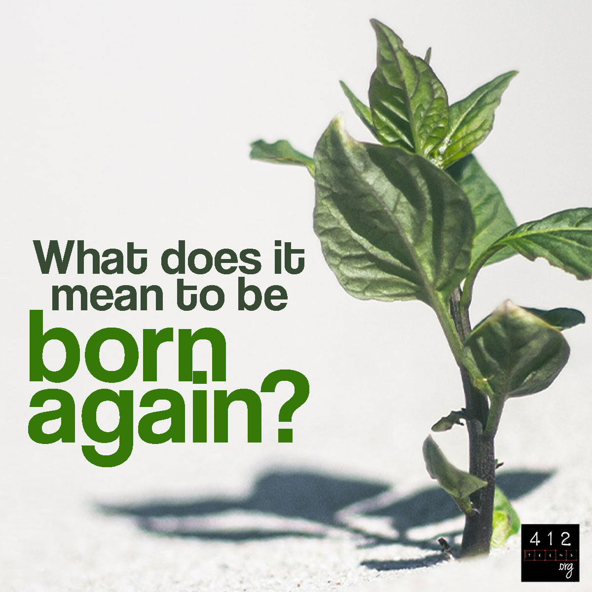 What Does It Mean To Be Born Again 412teens
